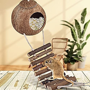 KATUMO Coconut Hut Hamster House Bed Natural Chew Toys for Mice Gerbils Small Animal Cage Habitat Decor