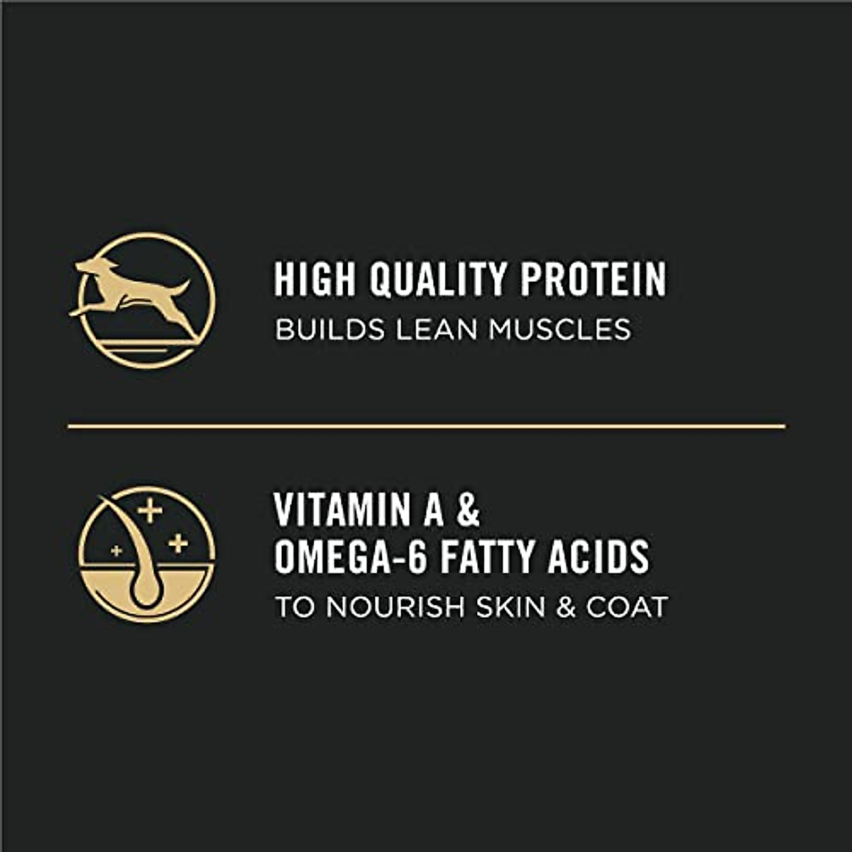 Purina Pro Plan High Protein Dry Puppy Food, Chicken and Rice Formula - 6 lb. Bag