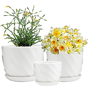 Laerjin Plant Pots, 4.05" & 5.51" & 6.77" Flower Pot, Ceramic Garden Plant Pots with Connected Saucer for Garden, Set of 3 in Different Sizes