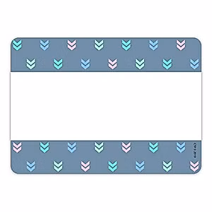 Creative Teaching Press Calm & Cool Colorful Mini Chevrons Name Tag Labels, Adhesive, CTP 8706