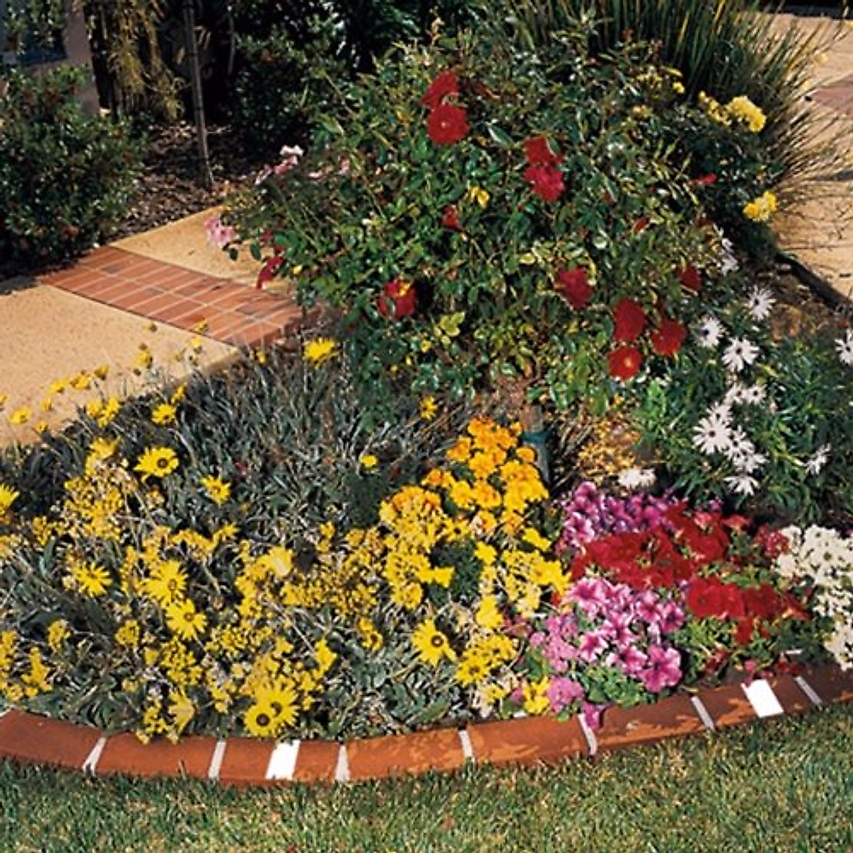 Argee RG840S Let's Light It 40-Foot Decorative Plastic Brick Edging with 6 Built-In Solar Lights, Terra Cotta