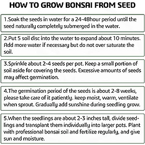 Meekear Bonsai Tree Kit with Complete Plant Growing Tools, Grow in Pot Indoor Bonsai Tree Starter Kit, Home Gardening DIY Gift for Adult (Growing into Acacia, Wisteria, Sakura, Red Maple, Black Pine)