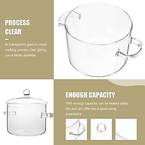 GANAZONO Glass Cooking Saucepan Stovetop Borosilicate Glass Cooking Pot with Lid and Handle Kitchen Pot for Pasta Noodle Soup Milk