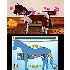 2 in 1: Mein Fohlen 2D with my Rider Yard 3D Rivalen on the Saddle [3DS]