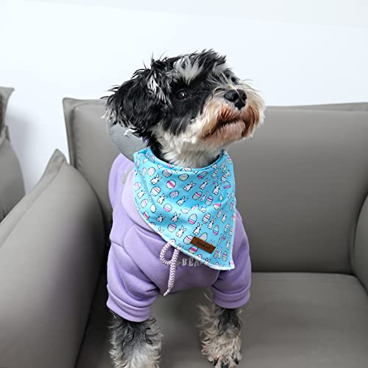 Babole Pet Easter Gift Dog Bandanas, 1PC Rabbit Egg Washable Square Dog Scarfs for Small Medium Large Dogs Adjustable Dogs Bib Scarfs for Girl and Boy(S)