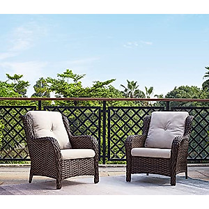 Rilyson Outdoor Wicker Patio Chairs Set of 2: Rattan Dining Chairs Porch Chairs Outdoor Club Chairs with high Back and Deep Seating (Brown/Beige)