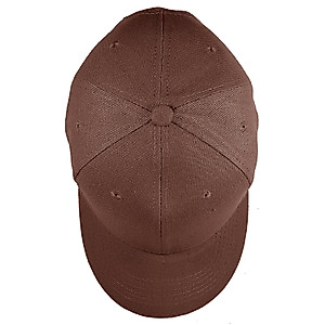 TZ Promise 12 Pack Wholesale Unisex Plain Solid Color Adjustable Baseball Caps Hats (Brown)