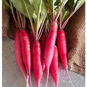 David's Garden Seeds Radish Shunkyo Semi-Long 6611 (Pink) 200 Non-GMO, Heirloom Seeds