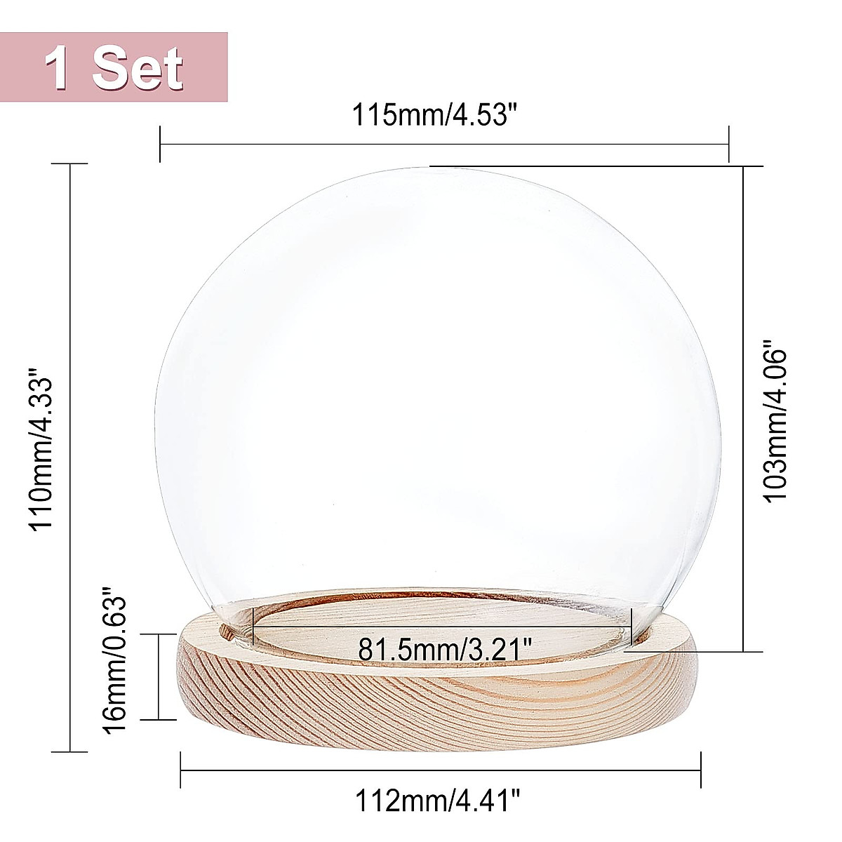 PH PandaHall Glass Display Showcase with Base Decorative Display Dome Miniature Case Snowglobe for Fairy Lights Plants Flower Craft Crown Display Crystal Beach Christmas Halloween Decoration 3x4inch