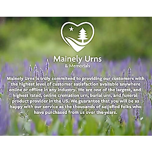 TSA Approved Fly-Safe and Temporary Travel Cremation Urn Kit for Human Ashes - Airline Friendly - 200 Cubic Inch Capacity - Airline-Ready Green Plastic Urn with Included Travel Box