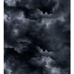 Timeless Treasures Dragon's Lair Dark Gray Stormy Sky Clouds Cotton Fabric by The Yard, CD2497-GREY