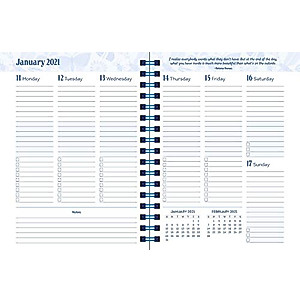 Posh: Deluxe Organizer 17-Month 2020-2021 Monthly/Weekly Planner Calendar: Garden Creatures