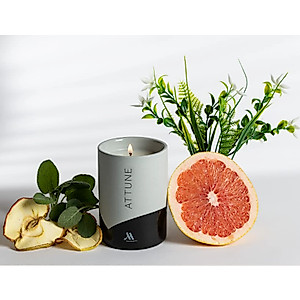 Marriott Attune Candle - Notes of Fuji Apple, Rose, and Cassis - Hand-Poured Soy Wax Blend in Gray Porcelain Jar