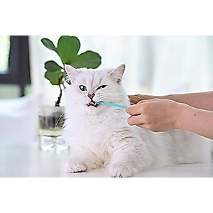 Soft Cat Toothbrush with 360-degree Head | Safe, Effective and Deep Pet Teeth Cleaning | Brush Away Bad Breath | Food Grade Silicone (2 Pack, Mint Green, Rose Pink)