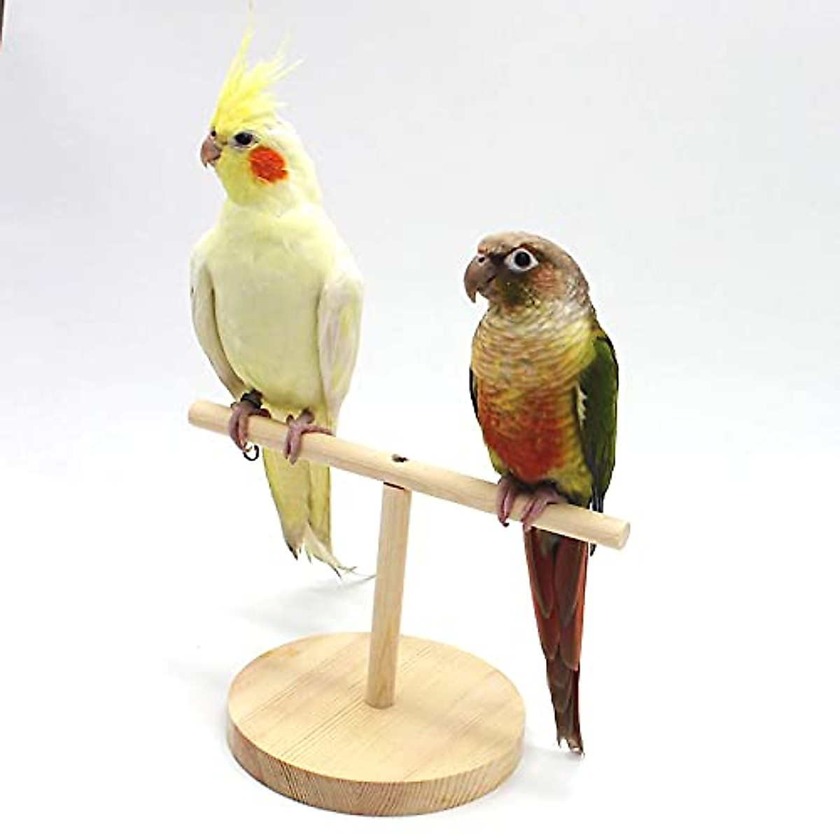 QBLEEV Bird Perch Parrot Wooden Stand，Bird Tabletop Standing Perches Play Stand Rack，Parrot Training Stick Travel Portable Pet Bird Carrier Stand for Parakeets Cockatiel Conure Budgie Lovebirds Finch