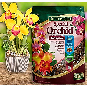 Sun Bulb 50000 Better Gro Special Orchid Mix, 4-Quart