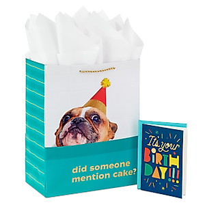 Hallmark 13" Large Birthday Gift Bag with Birthday Card and Tissue Paper (Dog, Did Someone Mention Cake?) for Kids, Parents, Coworkers, Friends