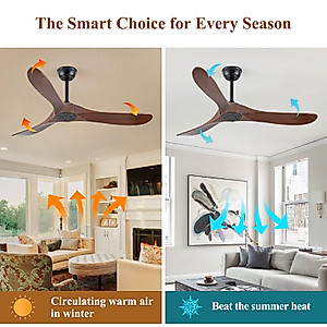 DefinElegant Walnut Wood 52" Ceiling Fan, 6-Speed, Reversible 3 Blades, Timed Shutdown, Silent DC Motor, for Bedroom, Porch