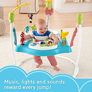Fisher-Price Baby Bouncer Color Climbers Jumperoo Activity Center with Music Lights & Developmental Toys (Amazon Exclusive)