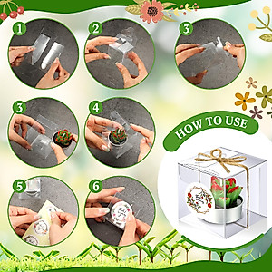 MTLEE 24 Set Succulent Cactus Candles Delicate Cactus Tealight Candle Decorative Unscented Mini Plant Candle for Thanksgiving Christmas Baby Shower Fiesta Party Favor Home Decor Spa Birthday Wedding