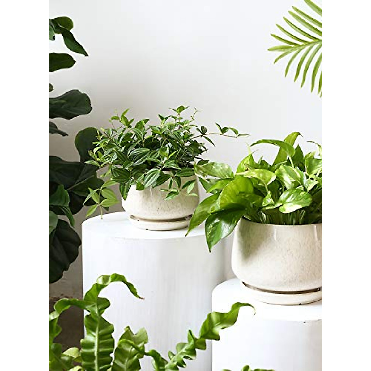 LE TAUCI Plant Pots, 4.1+5.1+6.5 inch, Set of 3, Ceramic Planters with Drainage Hole and Saucer, Indoor Flower Pot with Hole Mesh Pad, Gifts for Mom, Reactive Glaze Beige