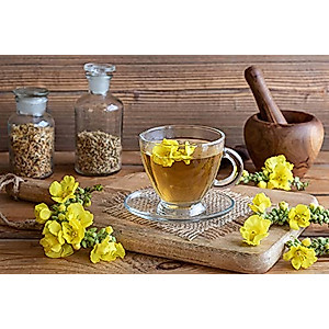 Earthcare Seeds Great Mullein Verbascum thapsus 150 Seeds Heirloom- Non GMO - Open Pollinated