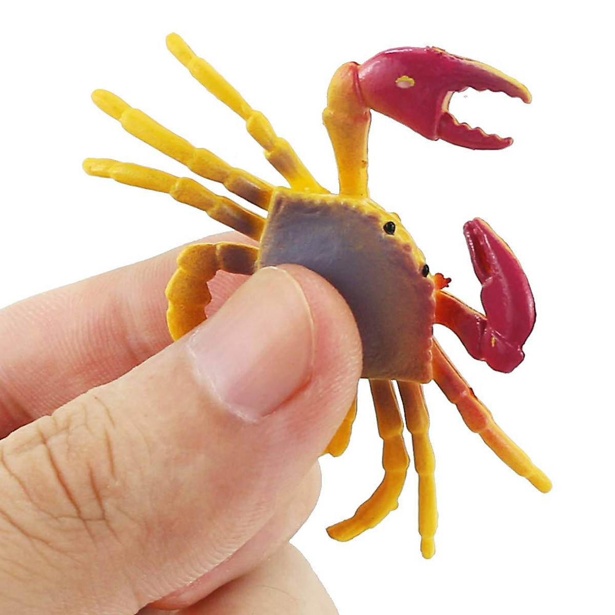 Bignc 24 Pack Mini Ocean Sea Animal Model Toys Under The Sea Life Figure Bath Toy for Child (Shark, Blue Whale, Starfish, Crab, Etc.)