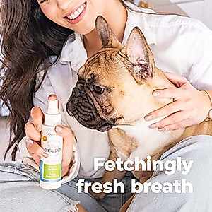 Oxyfresh Advanced Pet Dental Spray – Instant Pet Fresh Breath: Easiest No Brushing Pet Dental Solution for Dogs and Cats – Best Way to Fight Pet Plaque, Keep Teeth & Gums Healthy. 3oz.