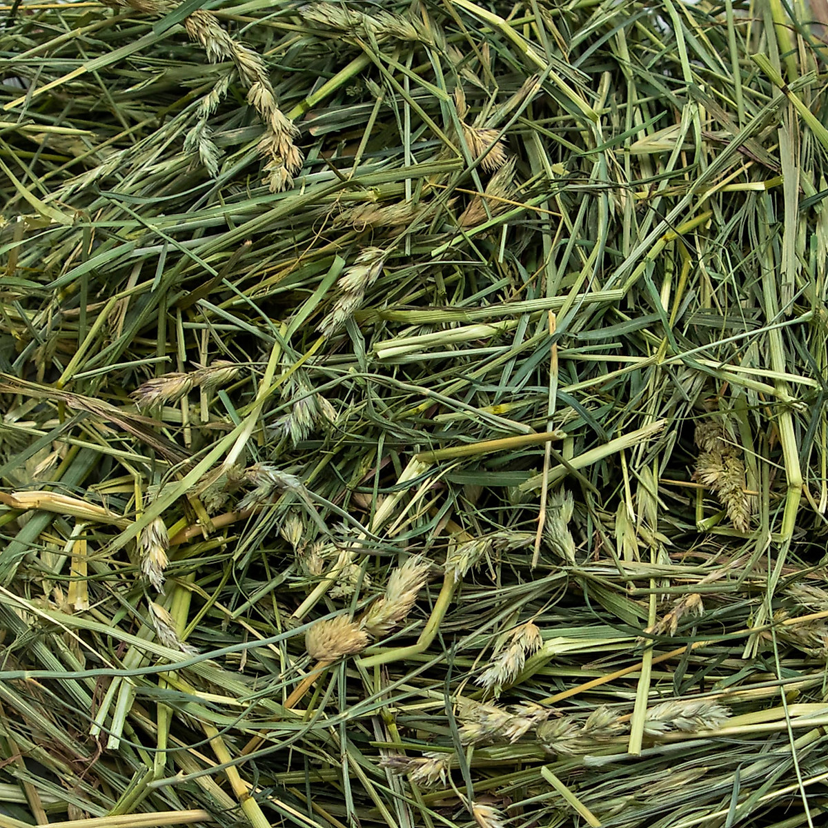 Rabbit Hole Hay - Ultra Premium Coarse Orchard Grass for Small Pets - 20 lb Box - Ideal for Small Pets