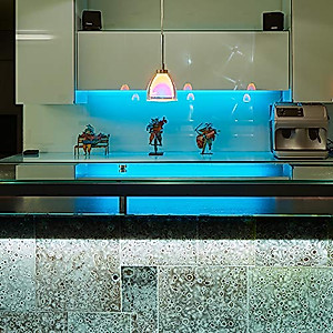 Armacost Lighting RGB LED Custom Color Lighting Controller 711420