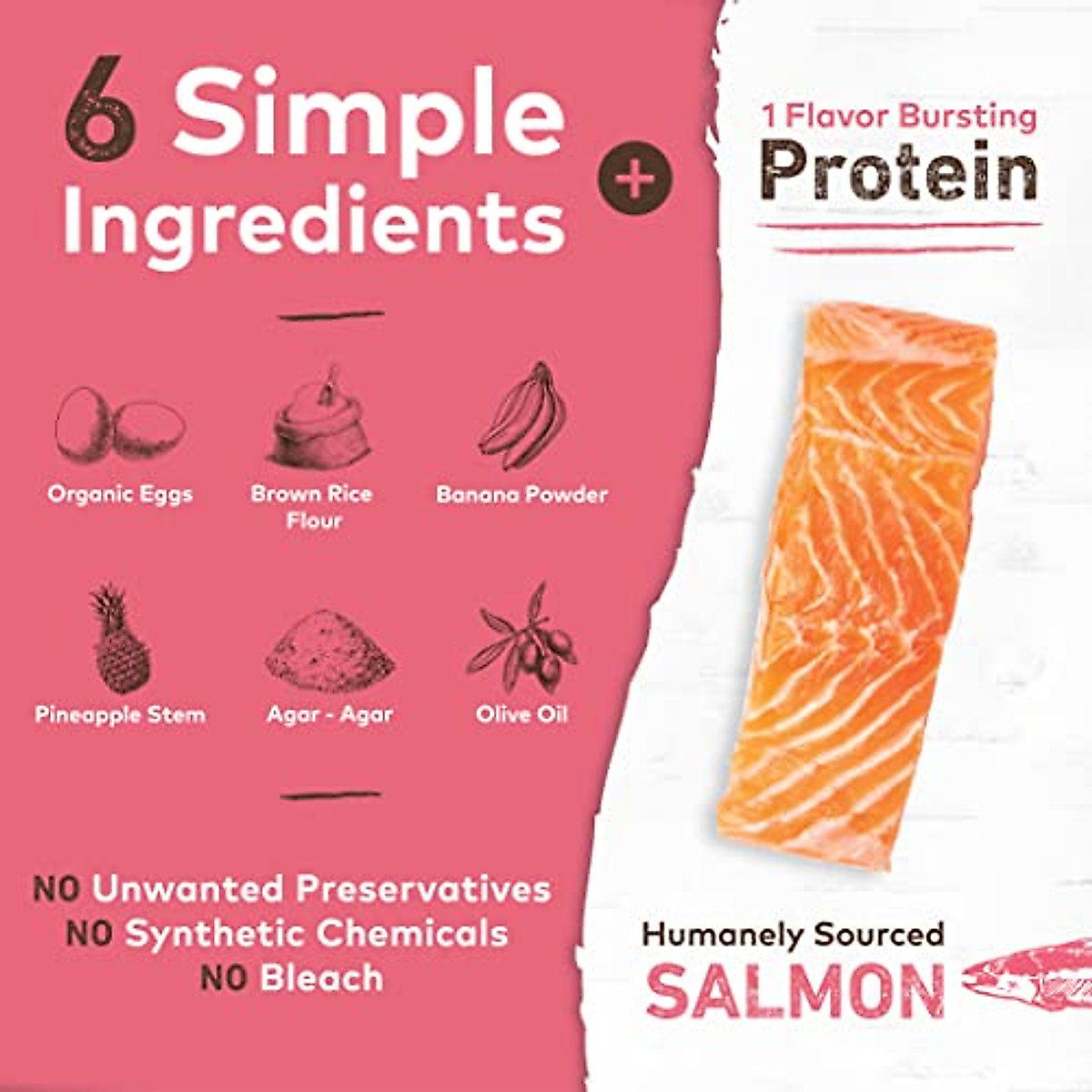 EARTH ANIMAL No Hide Medium Salmon Flavored Natural Rawhide Free Dog Chews Long Lasting Dog Chew Sticks | Dog Treats for Large Dogs | Great Dog Chews for Aggressive Chewers (1 Pack)