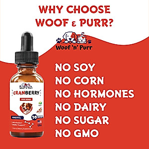 Cranberry Supplement for Dogs - Dog UTI Treatment - Dog Cranberry Supplement - Cranberry for Dogs - Dog UTI Cranberry - Dog UTI - UTI Treatment for Dogs - UTI Dogs - 1 fl oz - Bacon Flavor