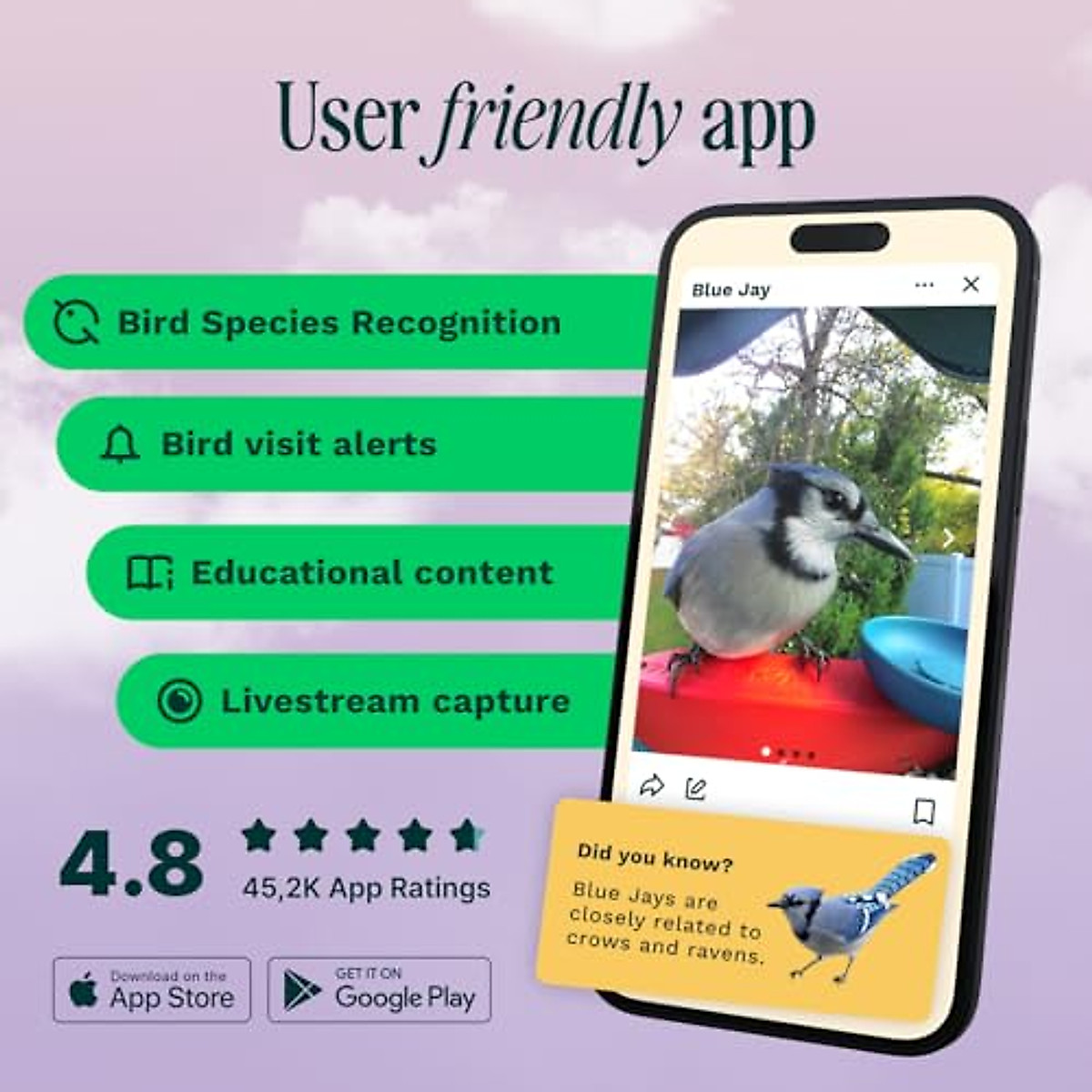 Bird Buddy Solar Smart Bird Feeder with Camera - Ai Bird Species Identification, 5Mp Photos, 2K Hd Video Live Stream Camera, Solar-Powered Charging, 2.8In Focus - Blue