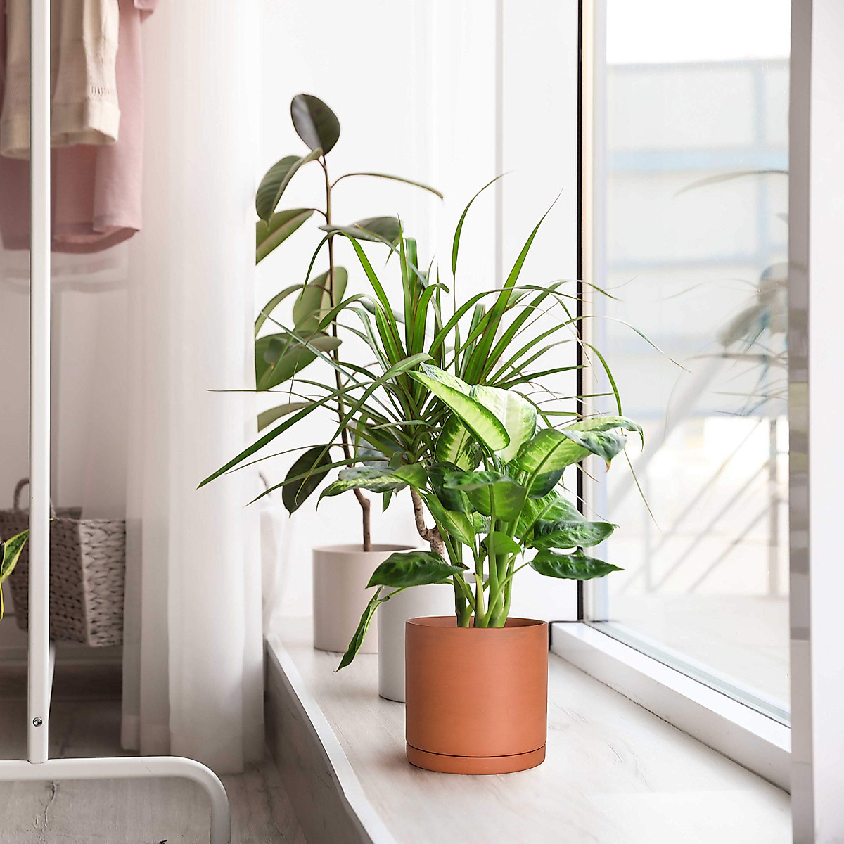 D'vine Dev Medium 8 Inch Terracotta Plant Pot with Drainage Hole and Saucer, Round Cylinder Planter Pot for Indoor Plants, 40-X-A-4