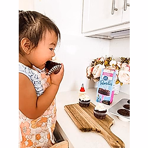 Pamela's Gluten Free Chocolate Cake Mix, Dairy Free, Kosher, 21-Ounce Bag (Pack of 6)