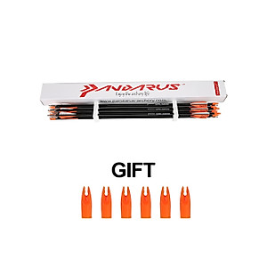 PANDARUS Archery 28" Fiberglass Archery Target Practice Arrows, for Children, woman or Beginner, for Recuve Bow(Pack of 12) …