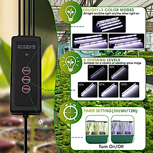 MQUPIN Seed Starter Tray with Grow Light 4 LED, 2 Pack/80 Cells Adjustable Brightness Seed Starter Kit,Seedling Starter Kit with Dome and Base for Greenhouse Seeds Growing Starting(Green)