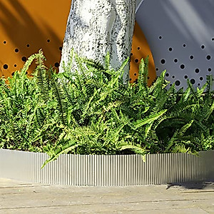 Gardzen Landscape Edging Border, 6 inch × 20 feet Garden Lawn Edging for Vegetable Raised Bed and Flower Bed