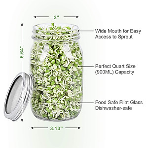 Complete Mason Jar Sprouting Kit - 2 Wide Mouth Quart Sprouting Jars with 316 Stainless Steel Sprouting Lids, Ceramic Drip Tray and Stand