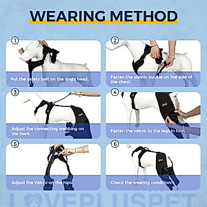 LISPOO Dog Knee Brace for hind Leg Warms Joints and Stable, Dog Leg Brace Fully Wraps hind Legs, Dog Acl Brace for Leg Wounds and Prevent Licking L