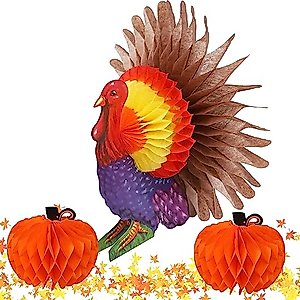 yosager 3 Pack Thanksgiving Table Decorations Tissue Turkey and Pumpkin, Honeycomb Decor Thanksgiving Centerpiece Party Accessory Table Supplies