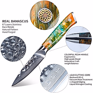 SANMUZUO 3.5 Inch Paring Knife - Fruit and Vegetable Peeling Knives, Forged Damascus Steel & Resin Handle - Yao Series