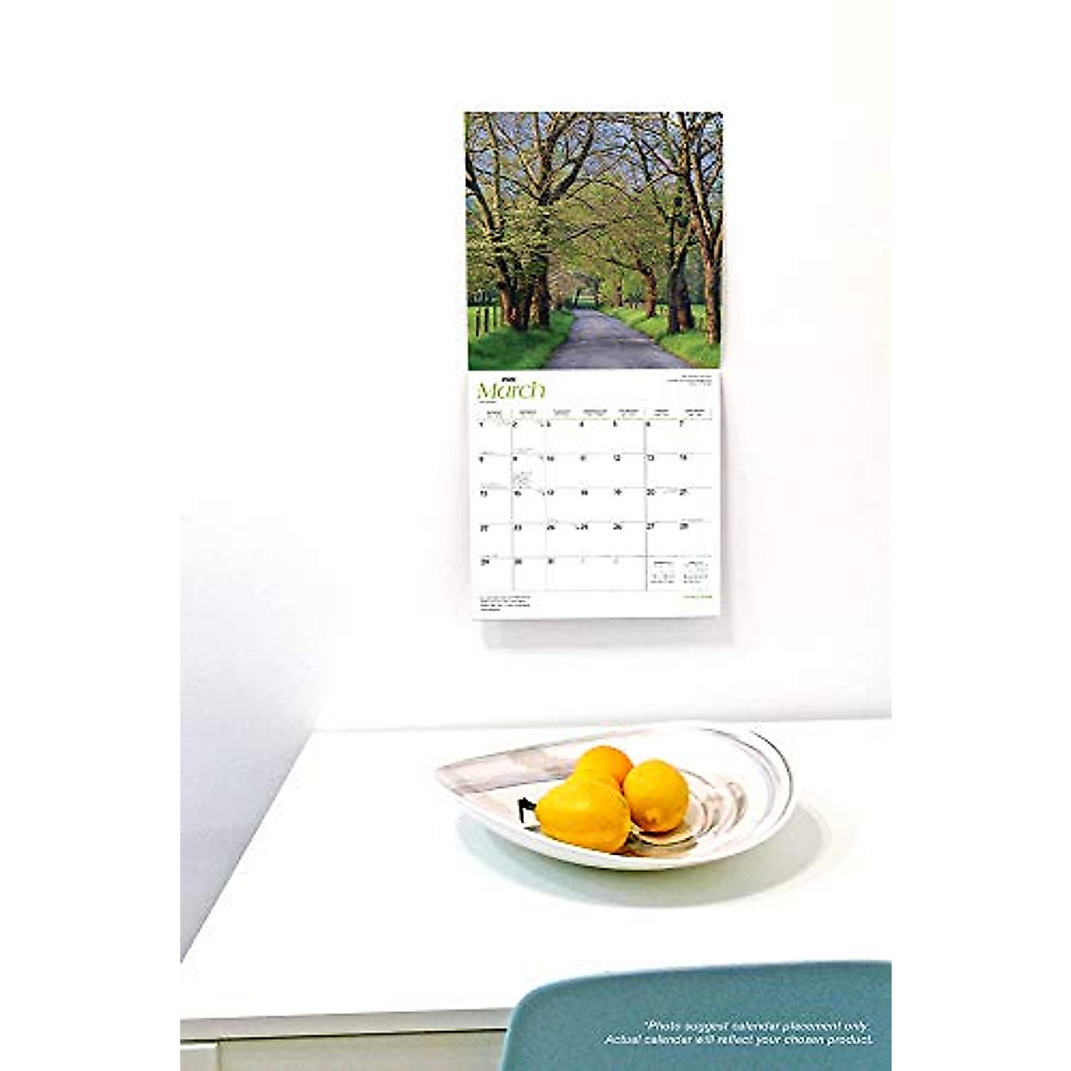 Shetland Sheepdogs 2020 12 x 12 Inch Monthly Square Wall Calendar, Animals Dog Breeds