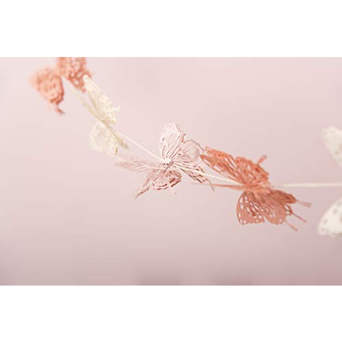 Sizzix Thinlits Die Set 3 Pack Intricate Wings by Jessica Scott, Multicolor