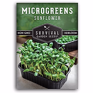 Survival Garden Seeds Sunflower Microgreens for Sprouting and Growing - Seed to Sprout Green Leafy Micro Vegetable Plants Indoors - Grow Your Own Mini Windowsill Garden - Non-GMO Heirloom Variety