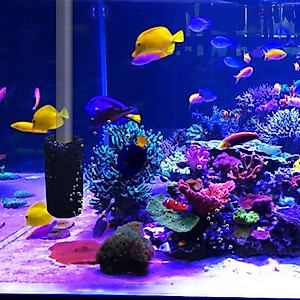 Bivethoi 4 Pcs Pre-Filter Sponge, Foam Sponge Roll Compatible Filter Accessories for Aquarium Shrimp Fish Tank