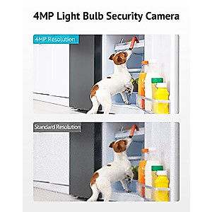 LaView 4MP Bulb Security Camera 2.4GHz, 360° 2K Security Cameras Wireless Outdoor Indoor Full Color Day and Night, Motion Detection, Audible Alarm, Easy Installation, Compatible with Alexa（Black）