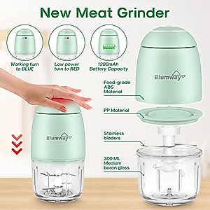 300ML Electric Mini Food Processor, 60W Cordless Food Press Garlic Chopper, Mini Blender For Garlic,Vegetable,Fruit,Onions,Chili,Meat,Salad,Baby Food, Glass Container (Green)