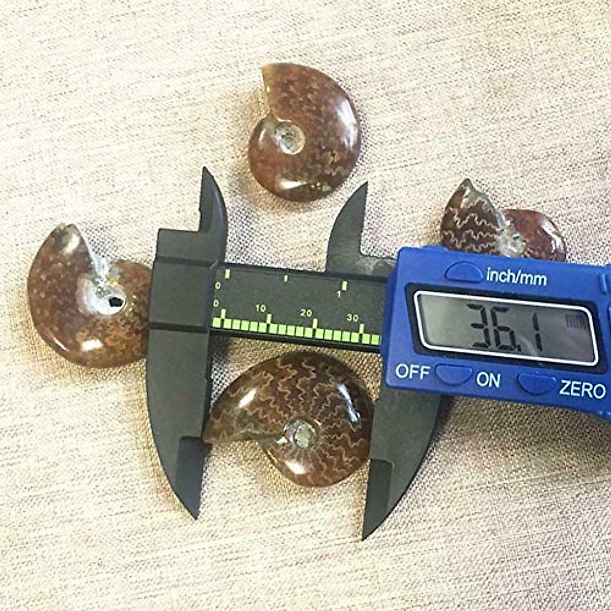 Wixine 2Pcs Natural Iridescent Ammonite Facet Specimen Fossil Madagascar Stone Gem