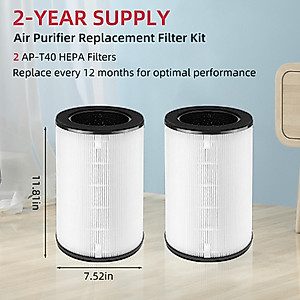 AP-T40FL AP-T45 Replacement Filter for Homedics Total Clean 5-in-1 Air Purifier Replaces AP-T40, AP-T40WT, AP-T45-BK, AP-T45-WT, 1461901(Costco Model), 2-Pack